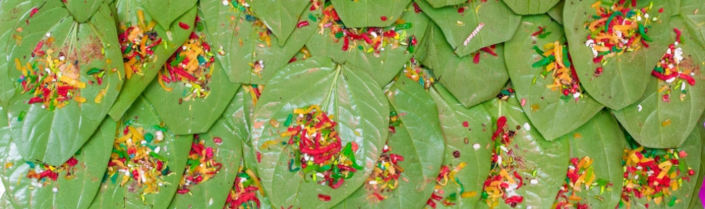 Maadico Pan Mukhwas: A Natural Way for Freshness & Digestive Comfort